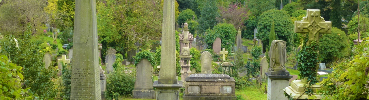 Arnos Vale Cemetery | sally reay